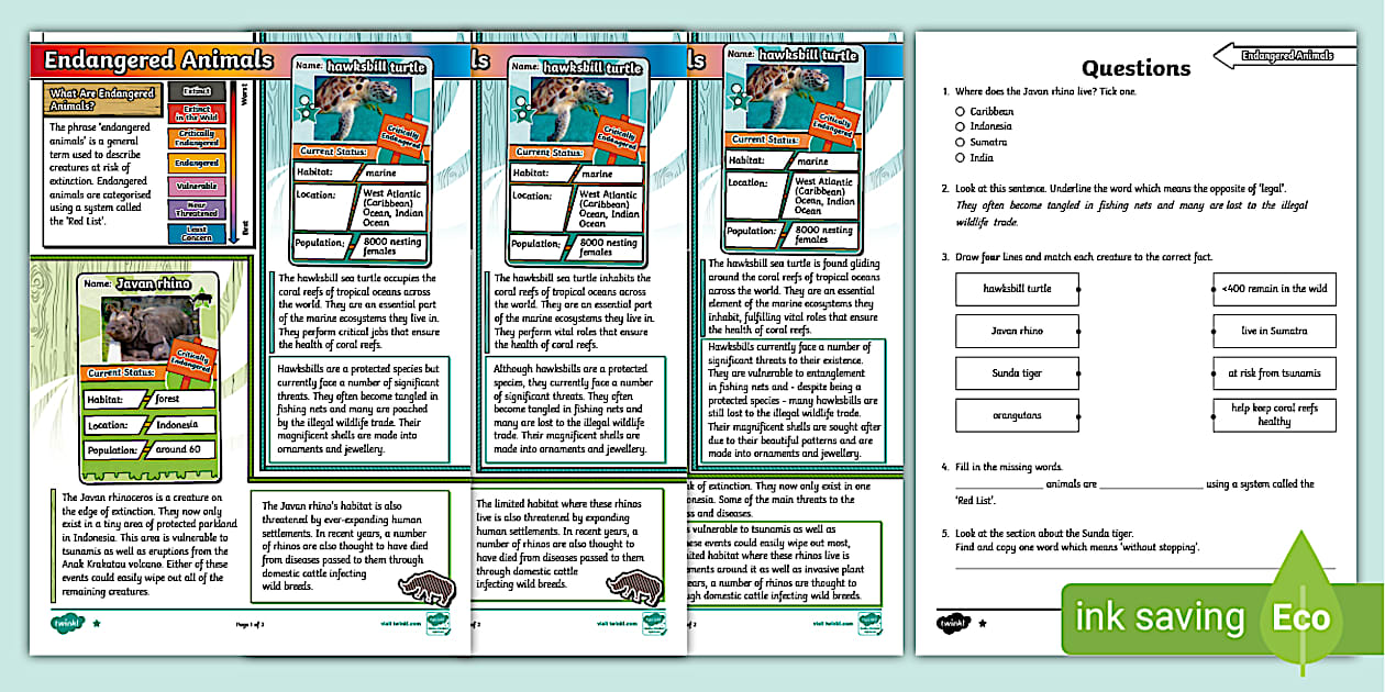 Endangered Animals Reading Comprehension Activity KS2