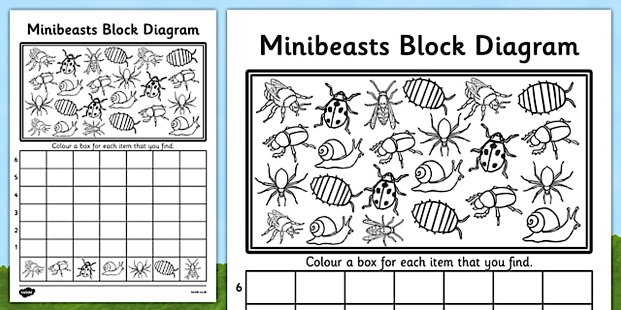 Insects Bar Graph Worksheet / Worksheet - Twinkl