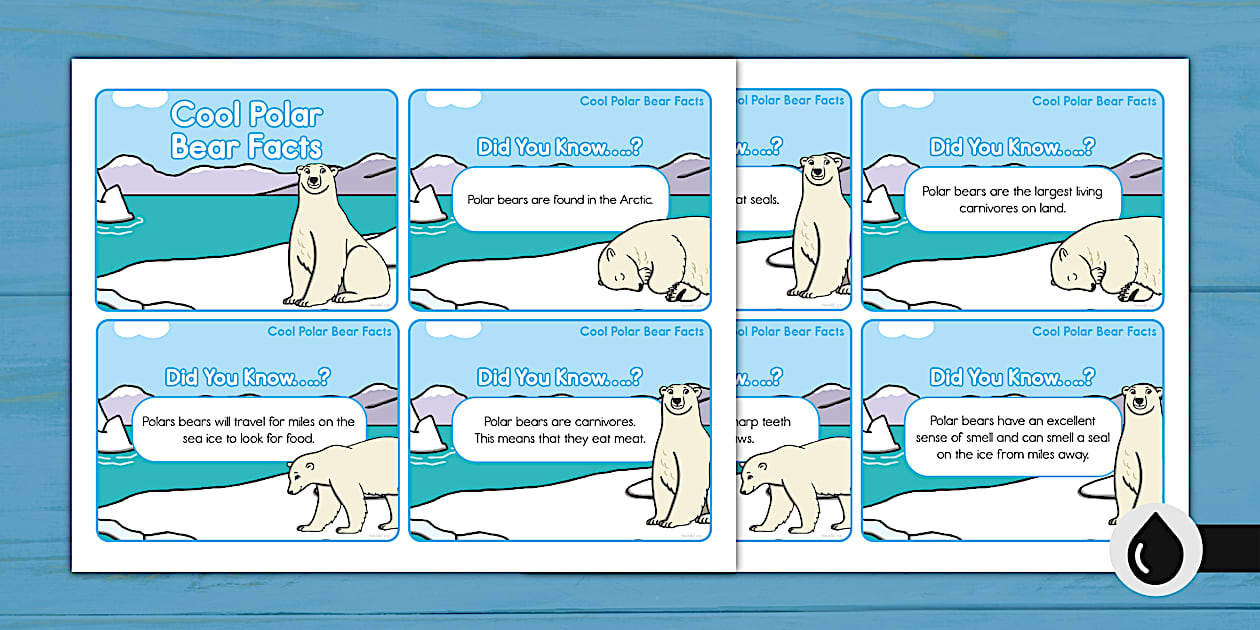 Fun Facts About Winter: Cool Polar Bear Fact Cards - Twinkl