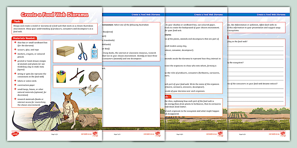 STEM: Create a Food Web Diorama (Teacher-Made) - Twinkl