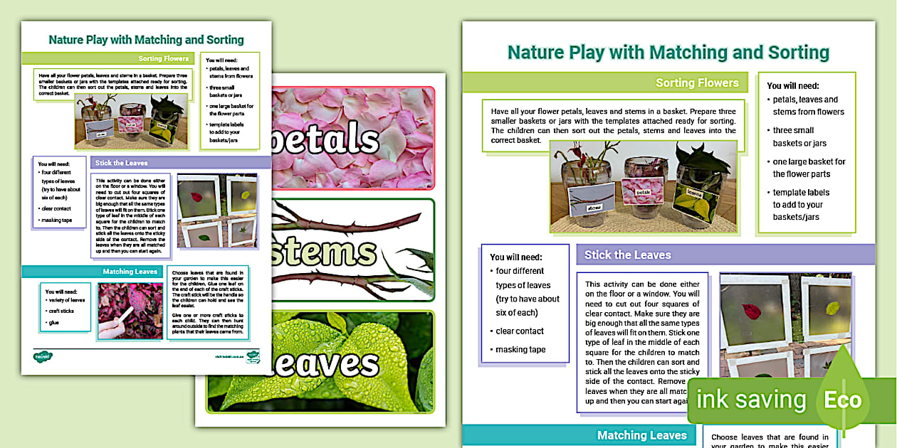 Nature Play with Matching and Sorting Activities - Twinkl