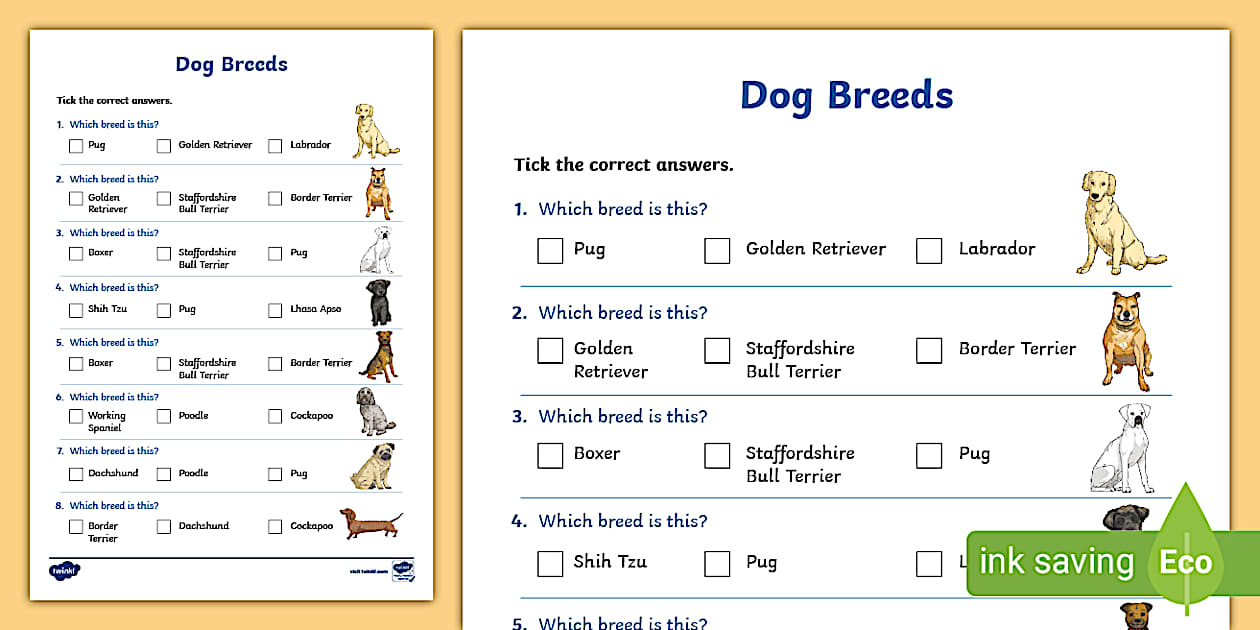 Dog Breed Quiz (teacher made) - Twinkl