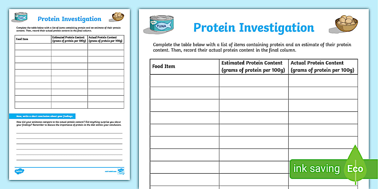 Protein Investigation Recording Sheet (Teacher-Made)