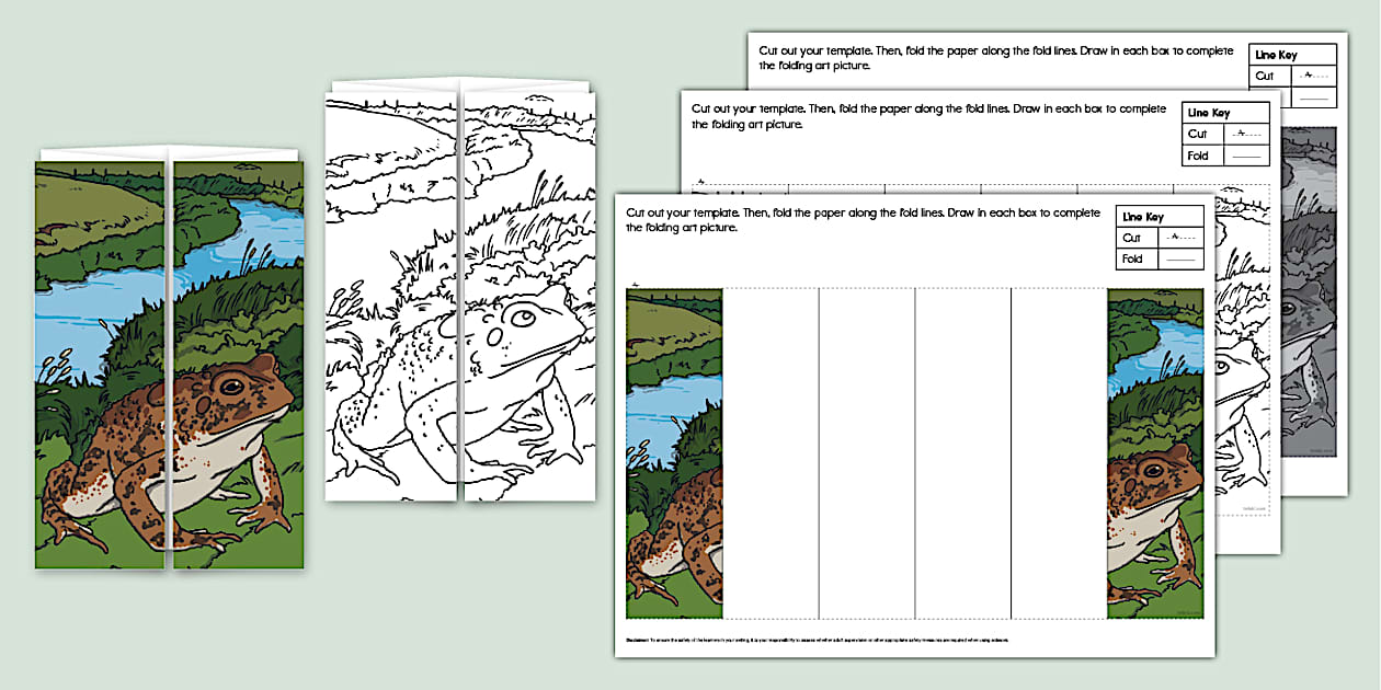 Toad Folding Art Template - Twinkl Arts and Crafts
