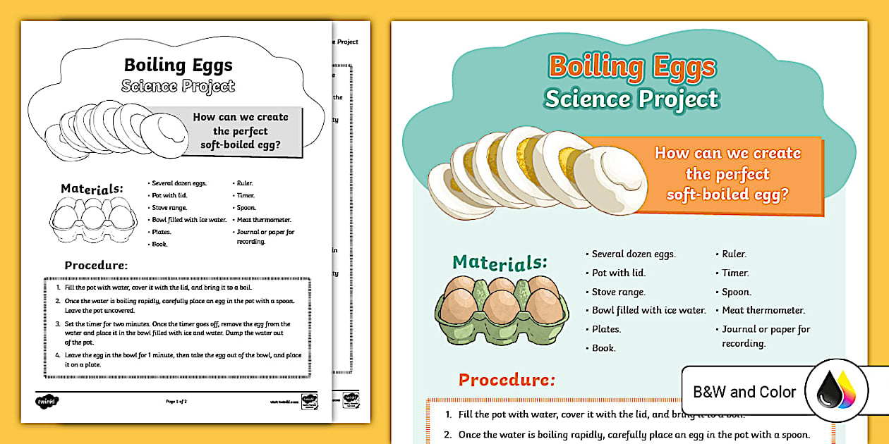 Soft Boiled Egg Time | Science Resource | Twinkl USA