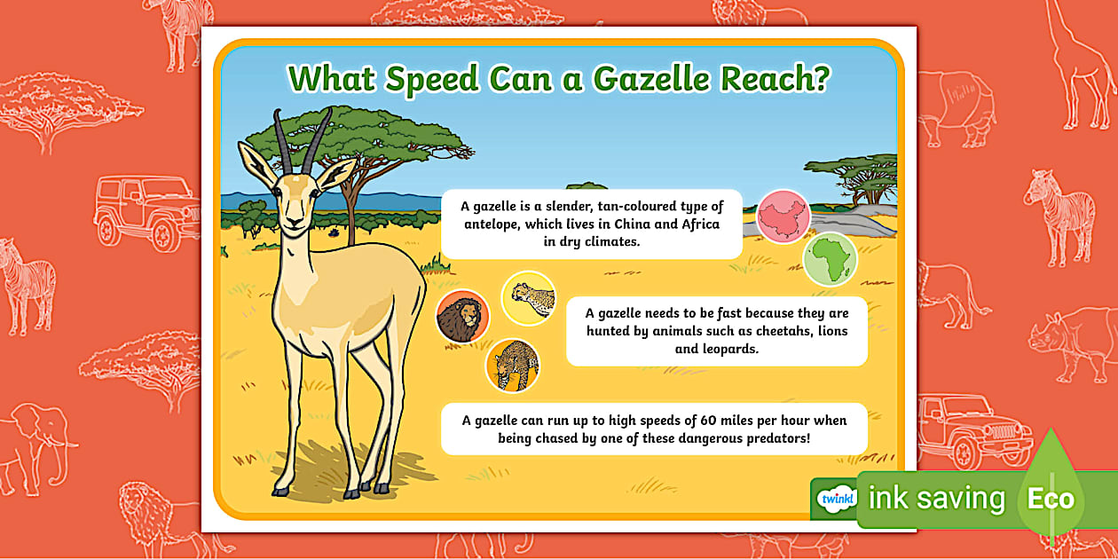 Gazelles: What Speed Can They Reach? Display Poster - Twinkl