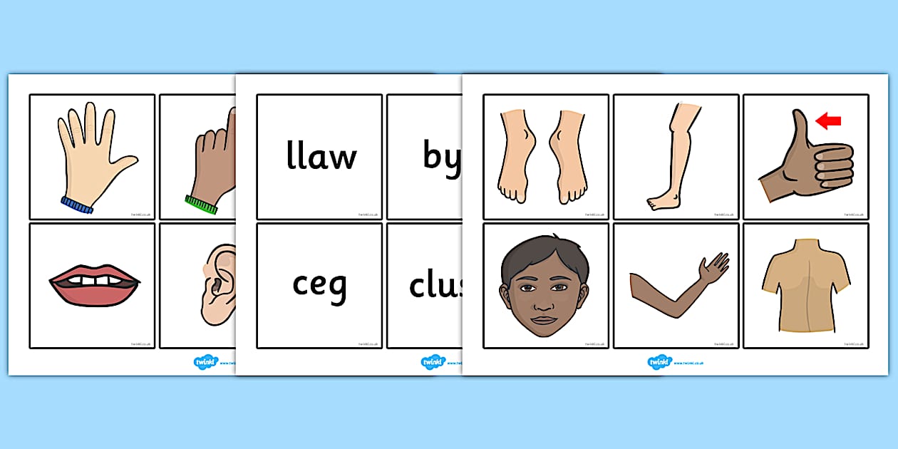 Cardiau Cyfateb Llun a Gair 'Rhannau'r Corff' (teacher made)