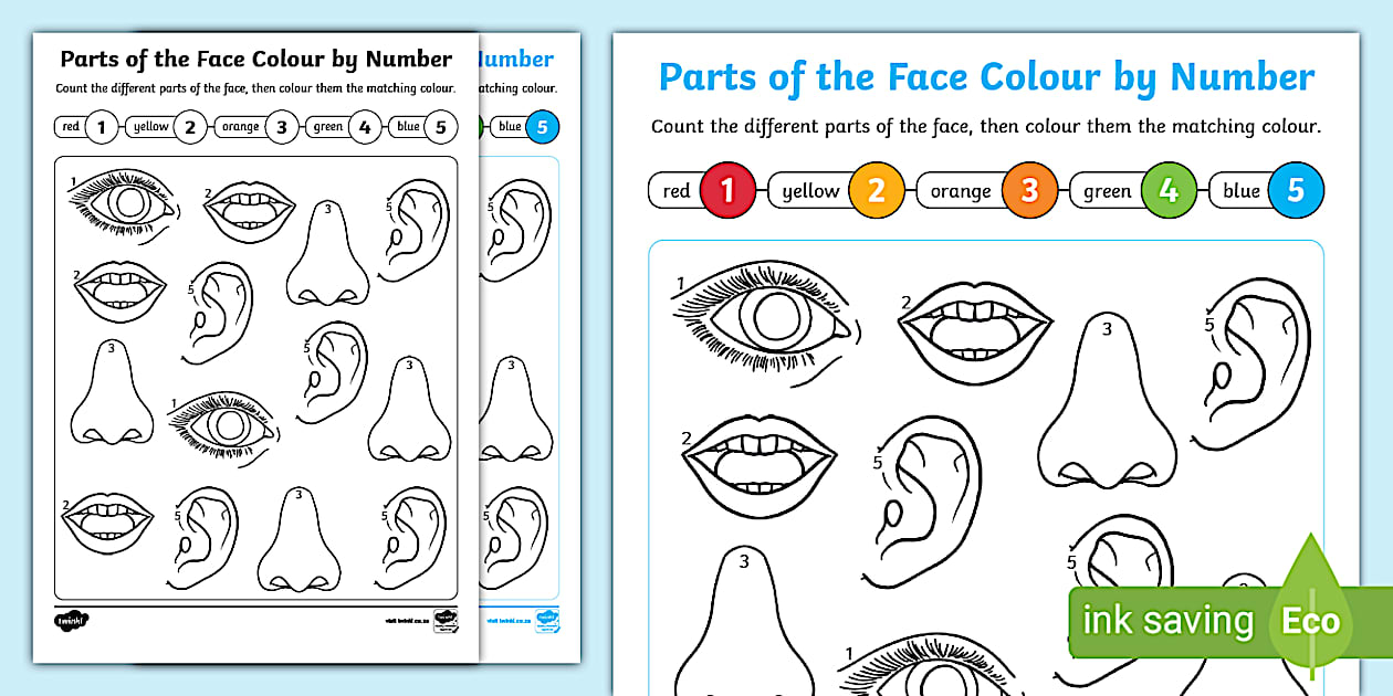 Parts of the Face Colour by Number Worksheet - Twinkl