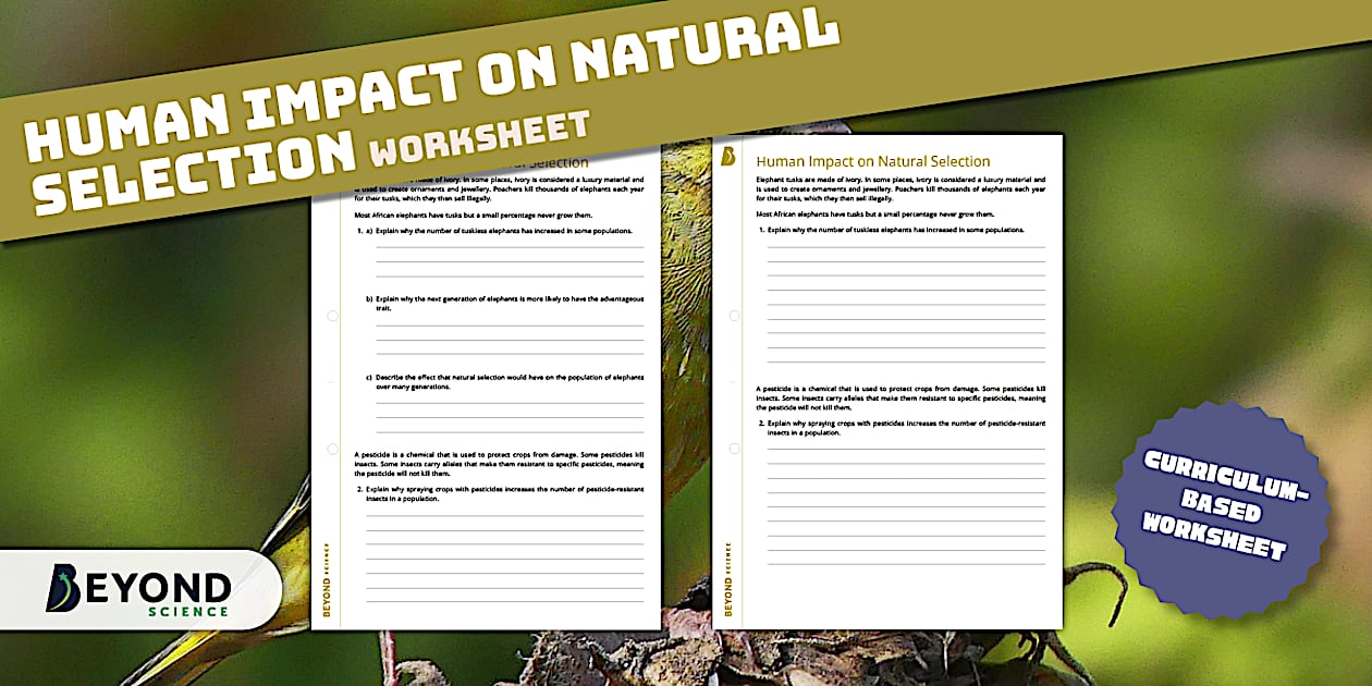 Human Impact on Natural Selection Worksheet | Beyond Science