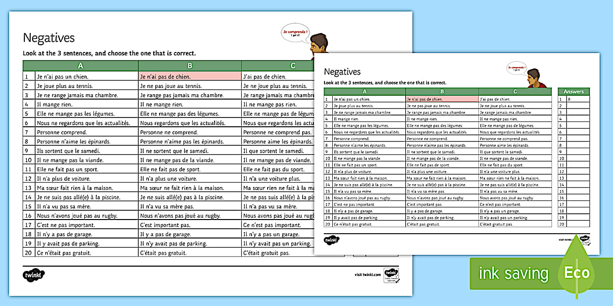 French Negatives Choose the Right One Worksheet / Worksheet - French
