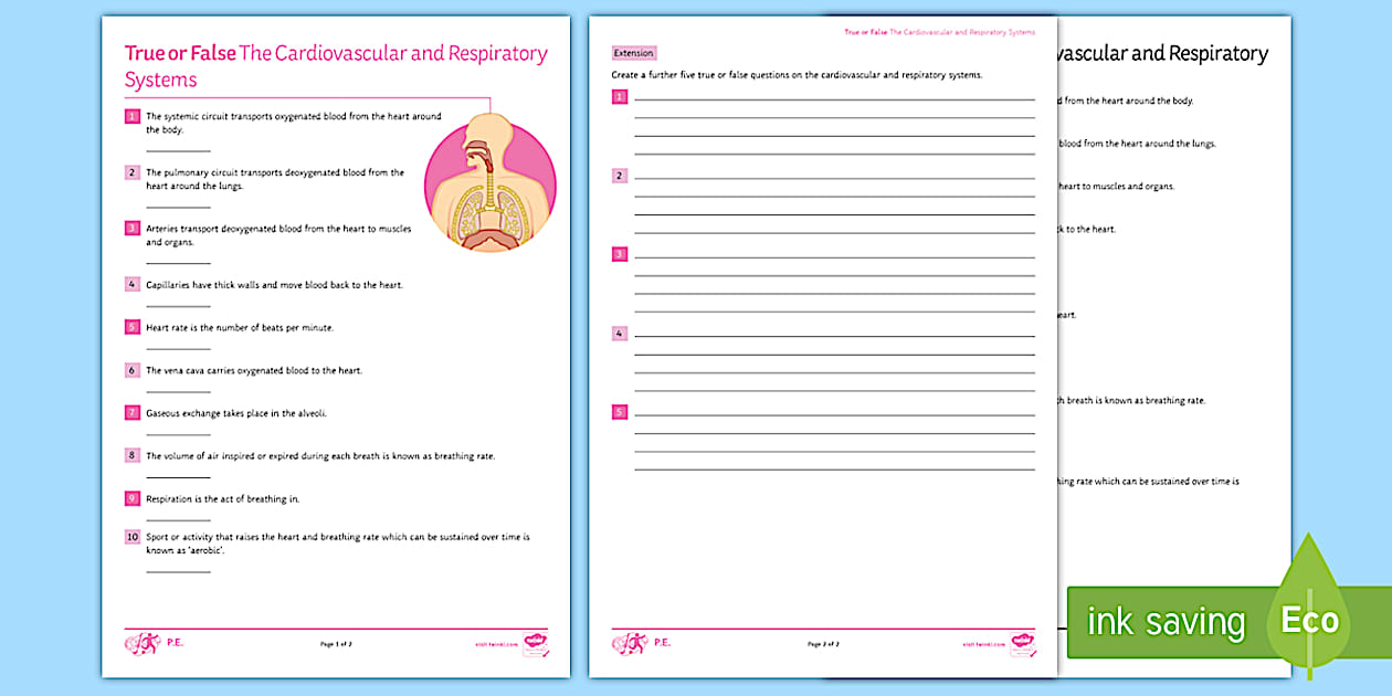 GCSE PE: Cardiovascular and Respiratory Systems True or False Worksheet