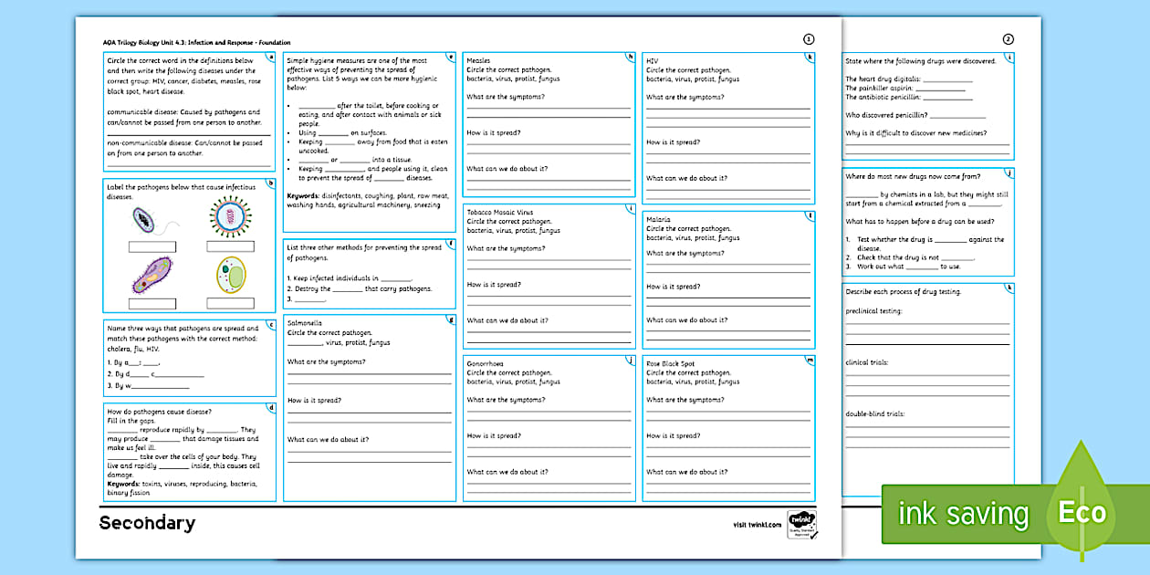 AQA (Combined): Infection and Response Foundation Revision