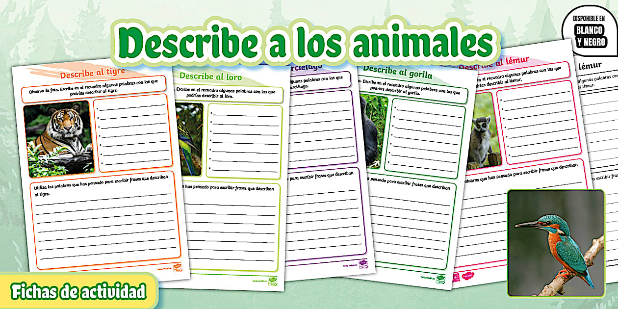 Fichas de actividad: Describe a los animales