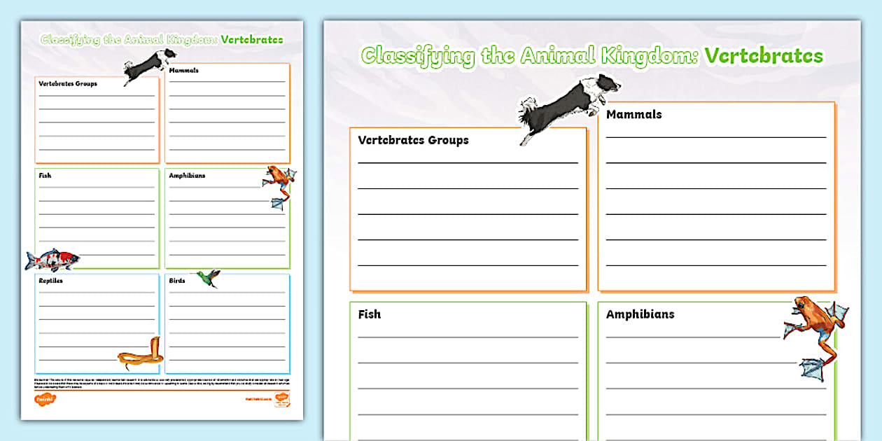 Classify the Animal Kingdom: Vertebrates Fact File Template