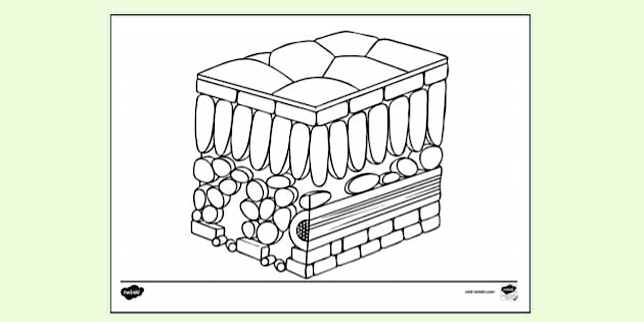 Cross Section of Leaf Colouring | Colouring Sheets - Twinkl