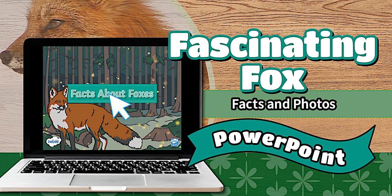 KS1 Facts About Foxes PowerPoint