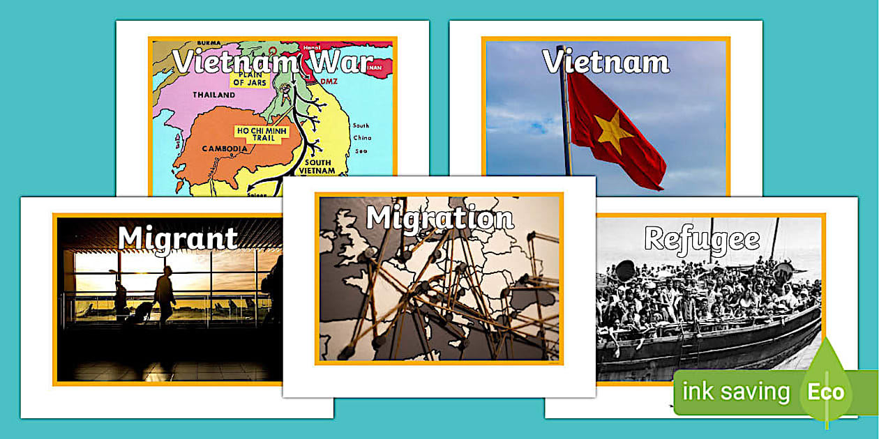 Vietnamese Migration Word Wall Cards (teacher made) - Twinkl