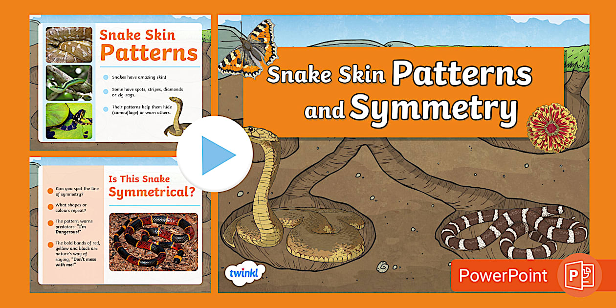 Snake Skin Patterns and Symmetry PowerPoint (teacher made)