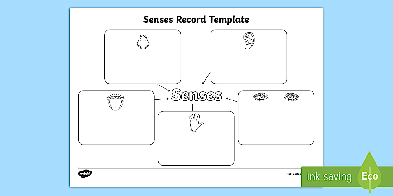 Editable Senses Record Template (Lehrer gemacht) - Twinkl