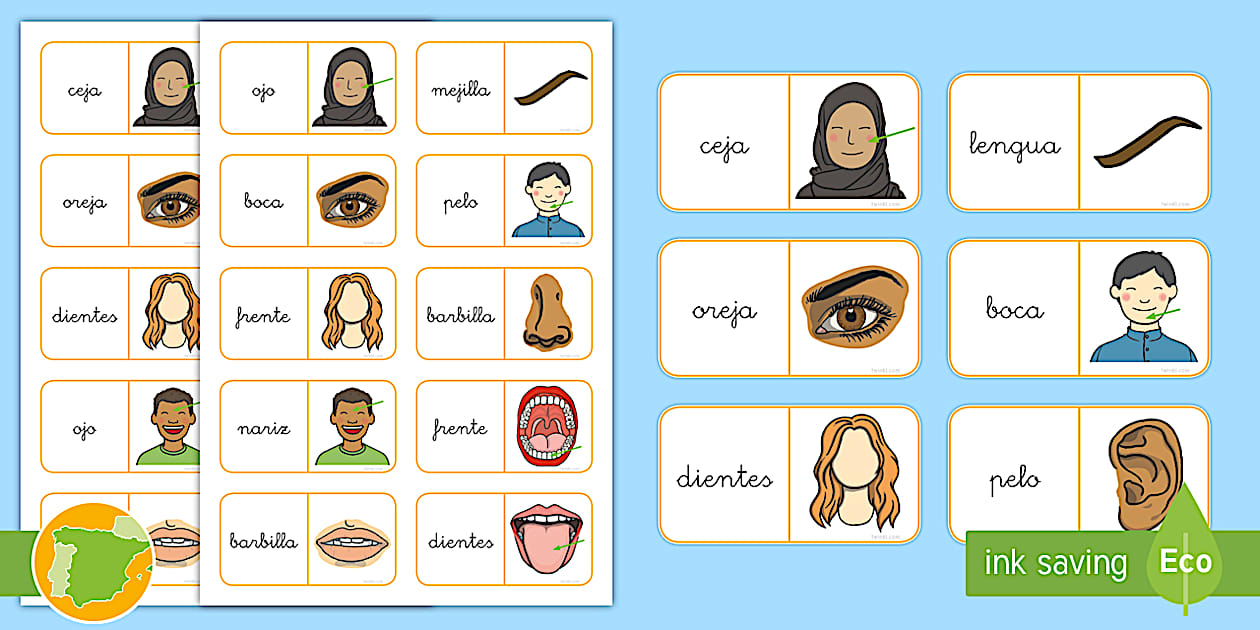 Domino: El cuerpo (l'enseignant a fait) - Twinkl