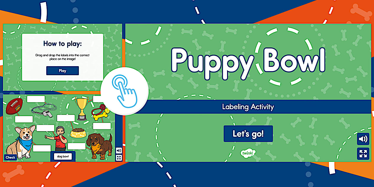 Puppy Bowl Labeling Activity | Puppy Bowl | Twinkl USA