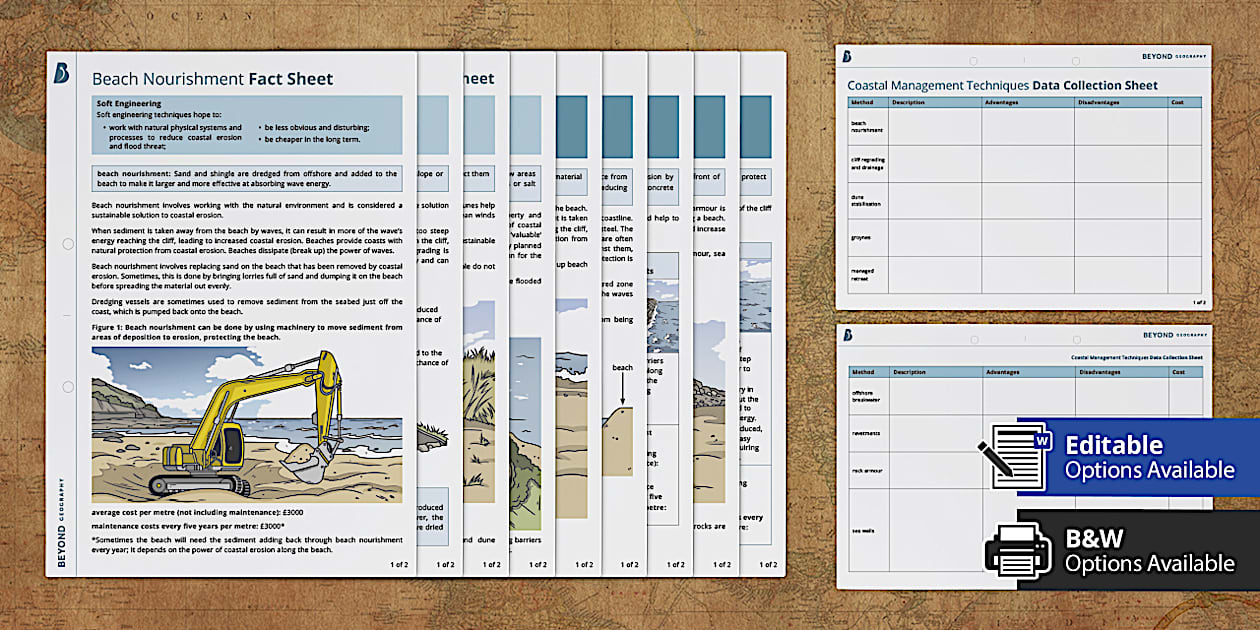 Coastal Management Group Activity (teacher made) - Twinkl