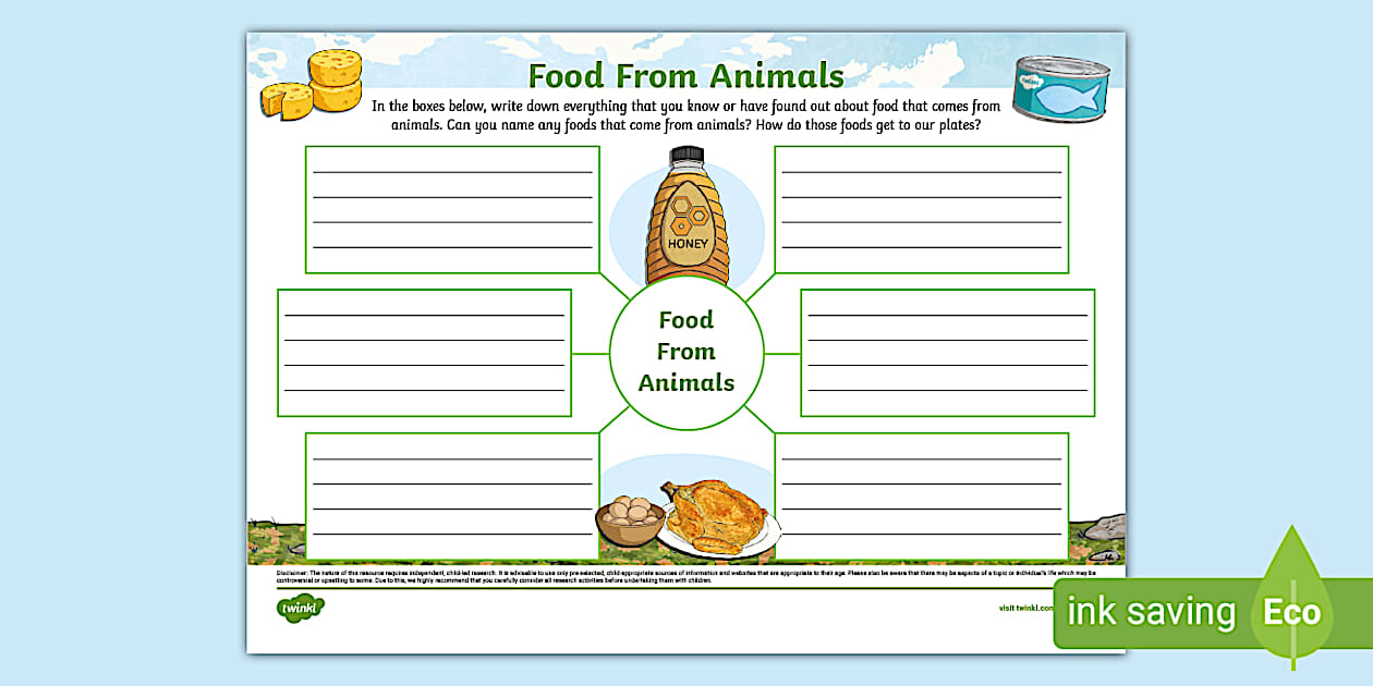 Food From Animals Mind Map (teacher made) - Twinkl