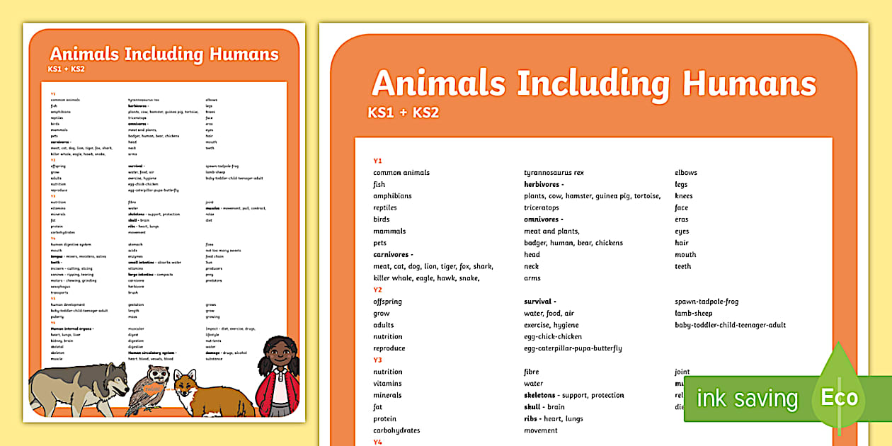 Editable Year 1 to Year 6 Animals Including Humans Scientific Vocabulary