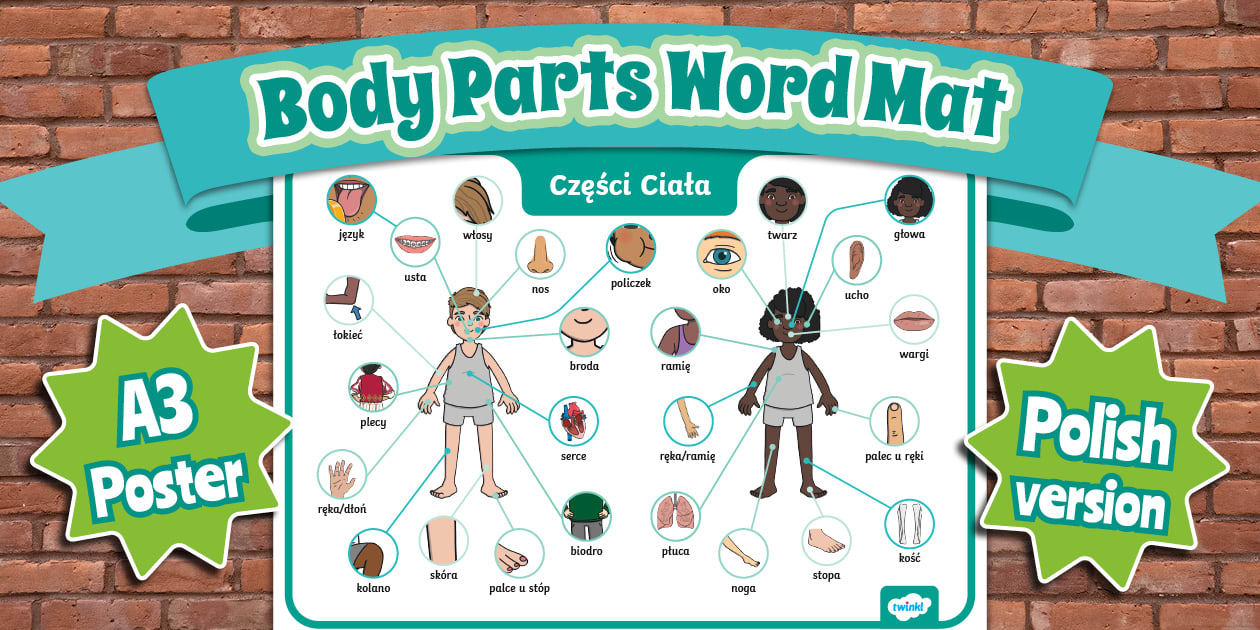 Body Parts Word Mat - Polish