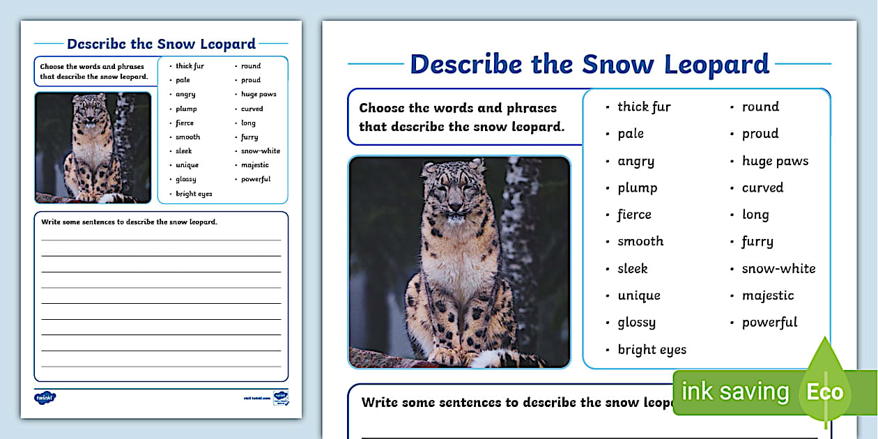Describe the Snow Leopard Writing Activity,Arctic Animals