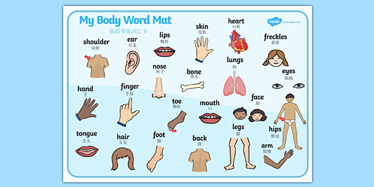 My Body Word Mat Mandarin Chinese Translation (teacher made)