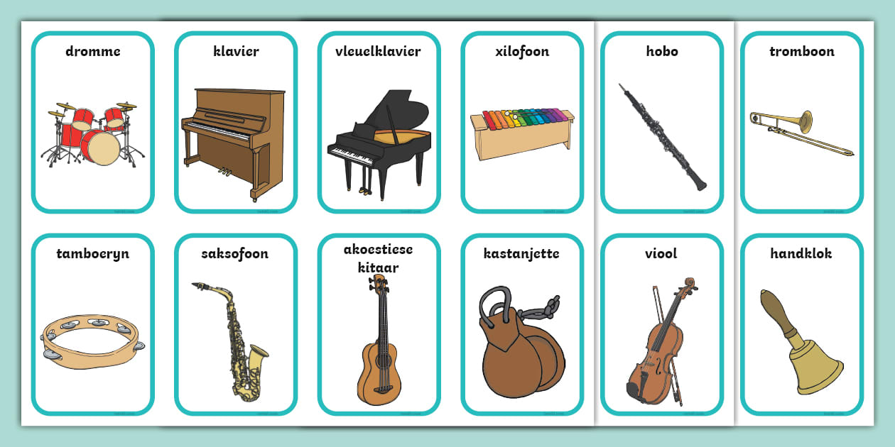 Musiekinstrumente Vertoonkaarte (teacher made) - Twinkl