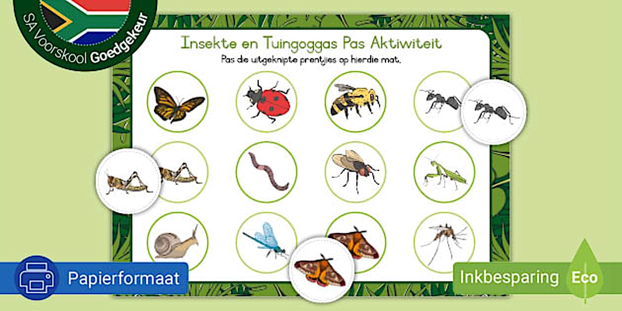 Insekte en Tuingoggas Pas Aktiwiteit (teacher made) - Twinkl