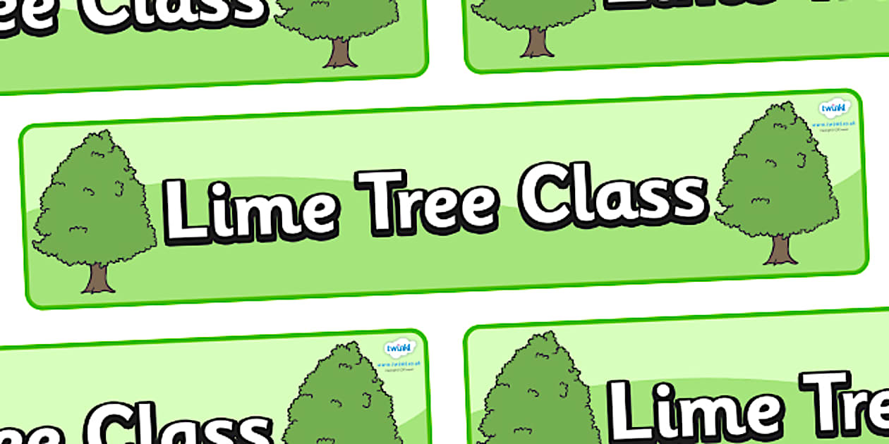 Lime Tree Themed Classroom Display Banner (teacher made)