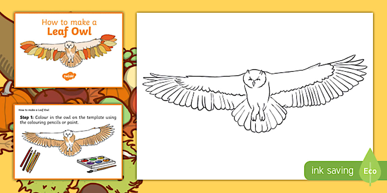 Leaf Owl Craft Instructions (teacher made) - Twinkl