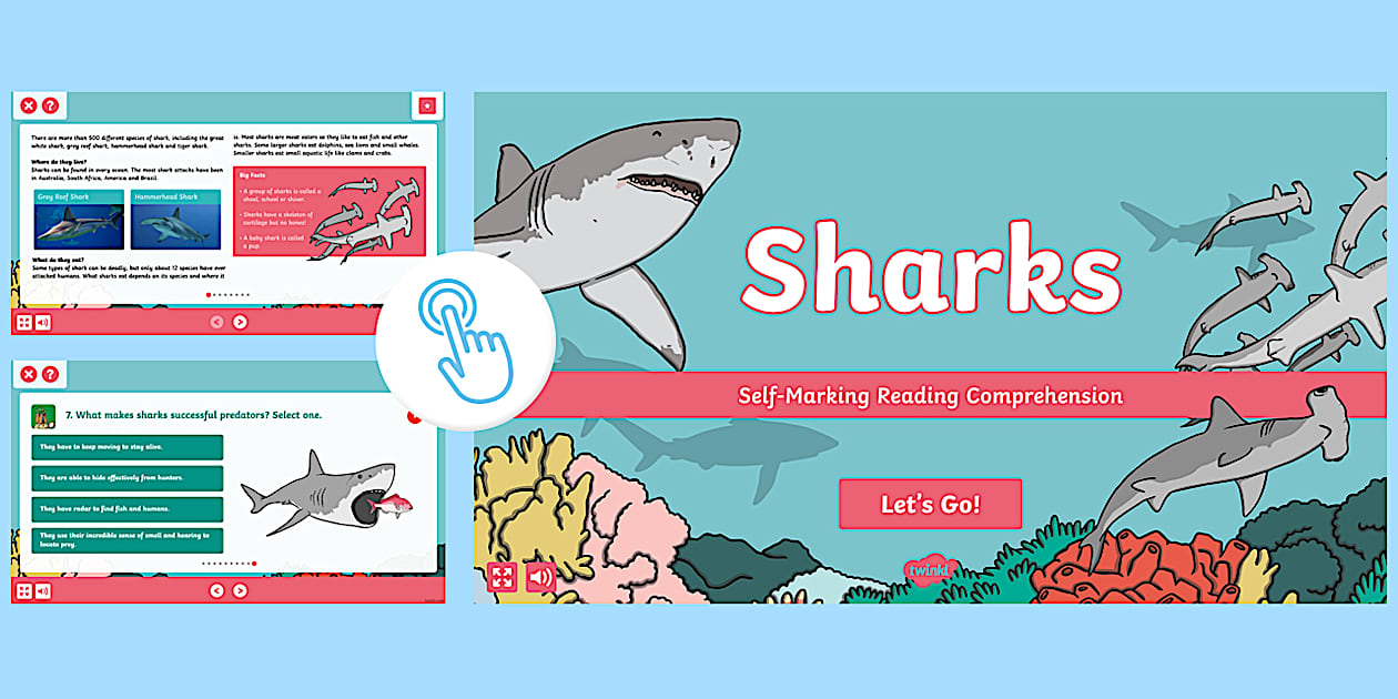 Self-Marking Sharks Reading Comprehension | Twinkl Go!