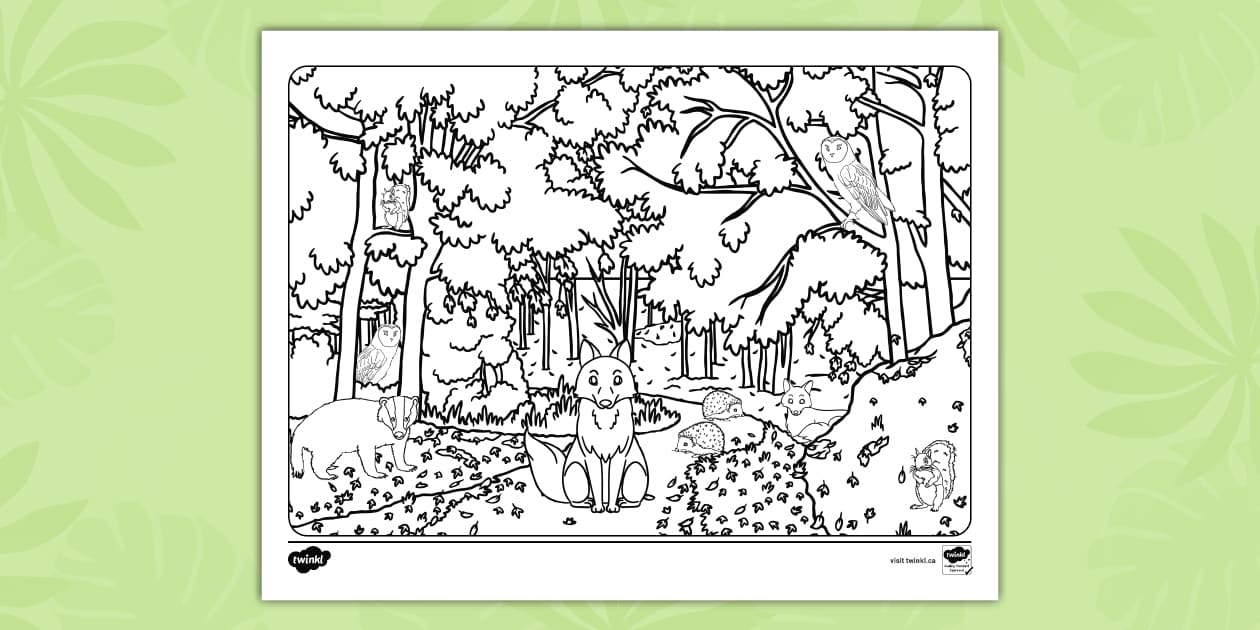 Coloriage : Les animaux de la forêt (teacher made) - Twinkl