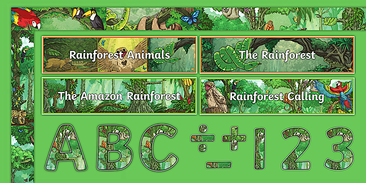 'Rainforest Calling' Amazon Rainforest Display Pack - Twinkl