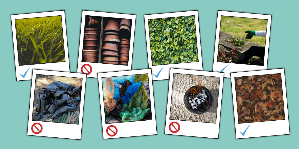 Garden Waste Recycling Instant Photo Style Display Images