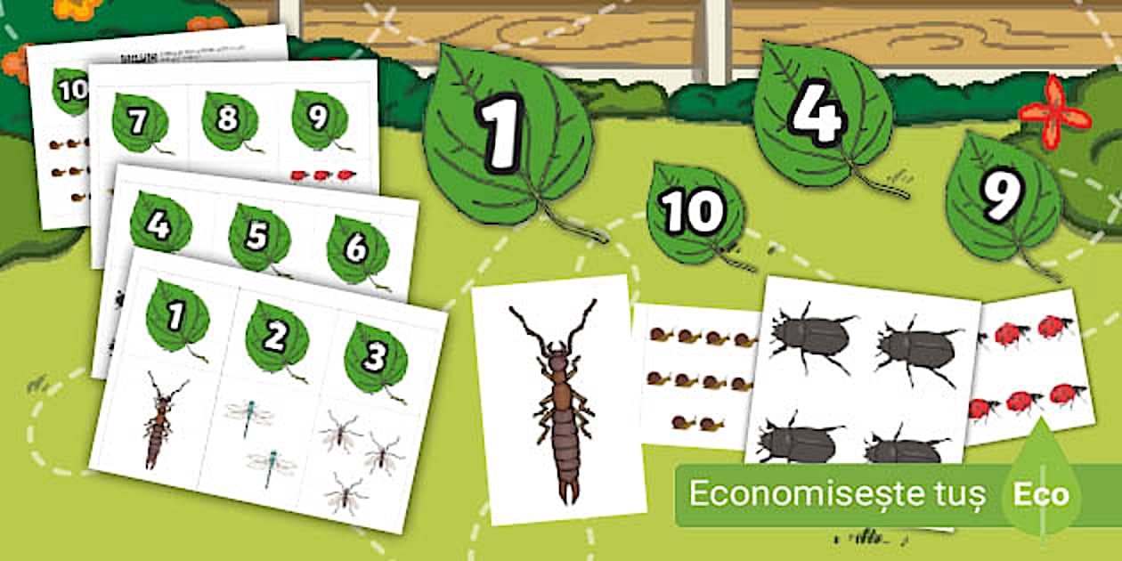 Insecte – Joc de numerație în limitele 1-10 - Twinkl