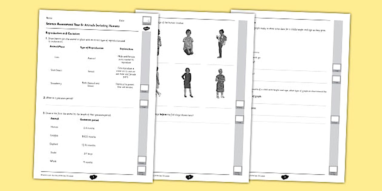 Year 5 Animals Including Humans End of Unit Assessment