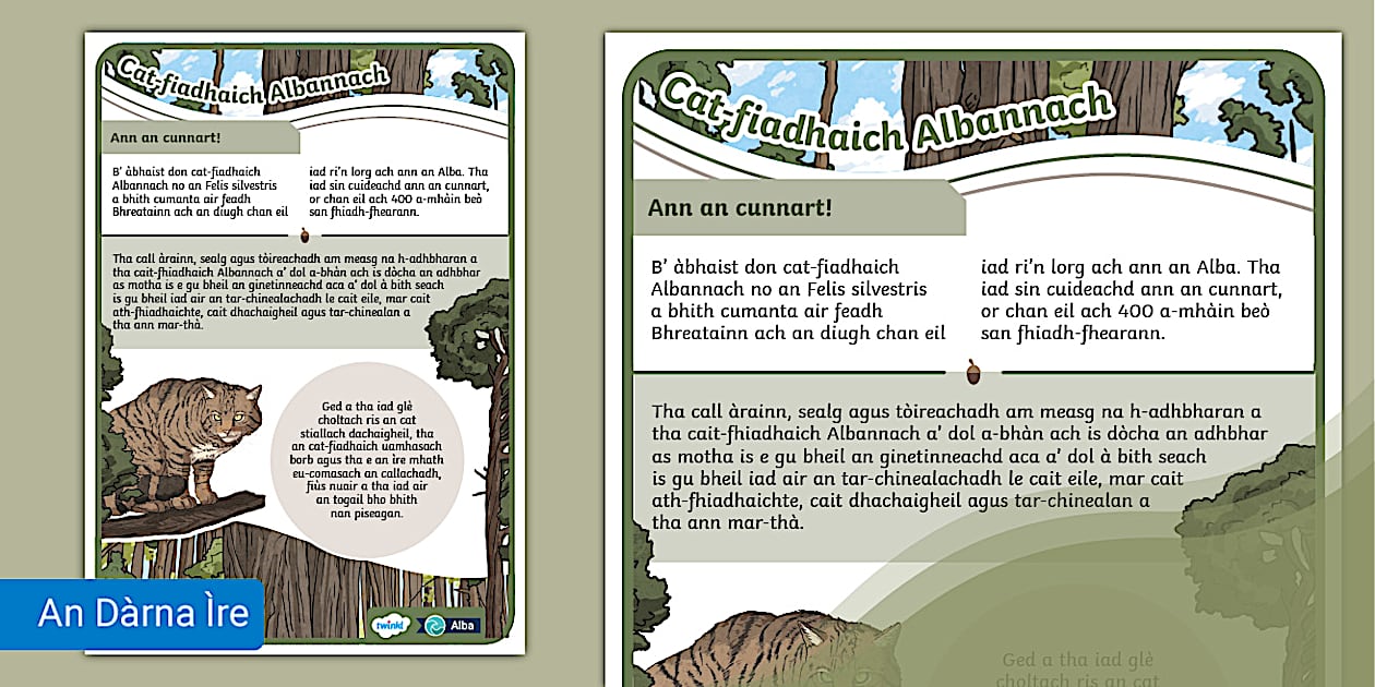Ann an cunnart! - Cat-fiadhaich Albannach - Postair