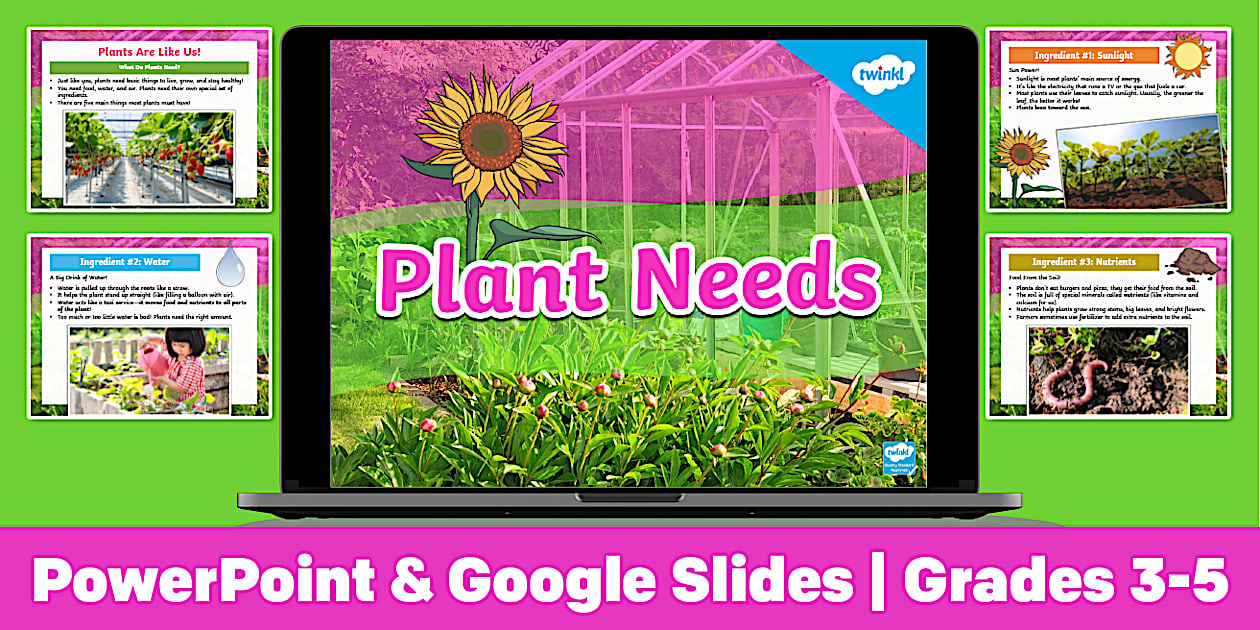 Plant Needs PowerPoint & Google Slides for 3rd-5th Grade