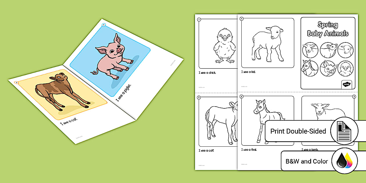 Spring Animals Emergent Reader | Twinkl USA Resources