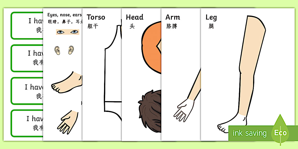 Black and White Body Part Counting Cut Out Activity English/Mandarin ...