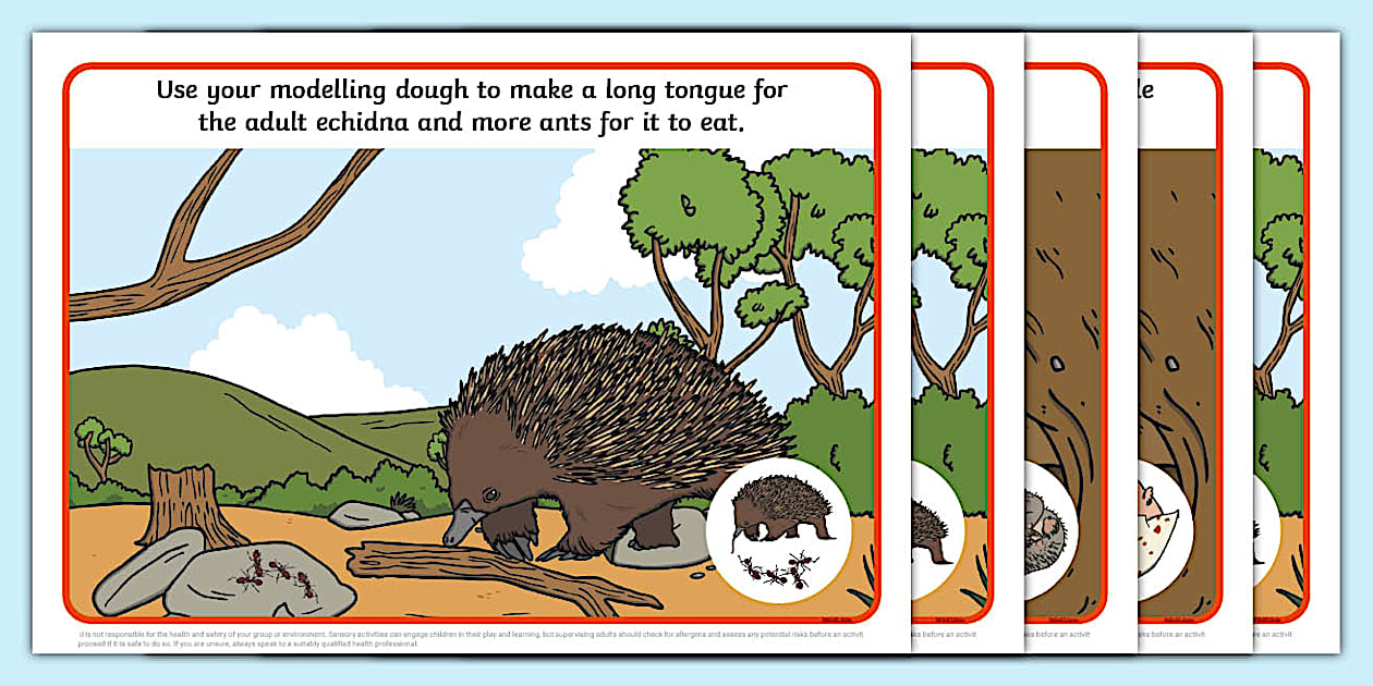 Echidna Life Cycle Modelling Dough Mats - lifecycle - Twinkl