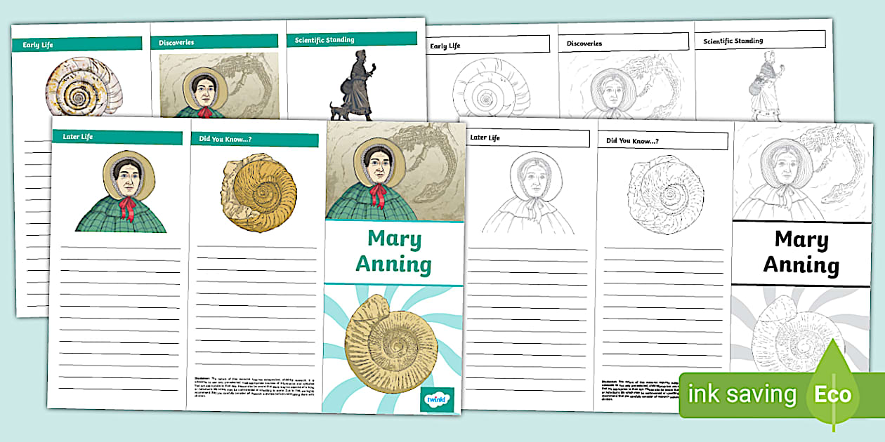 Mary Anning Leaflet Template (teacher made) - Twinkl