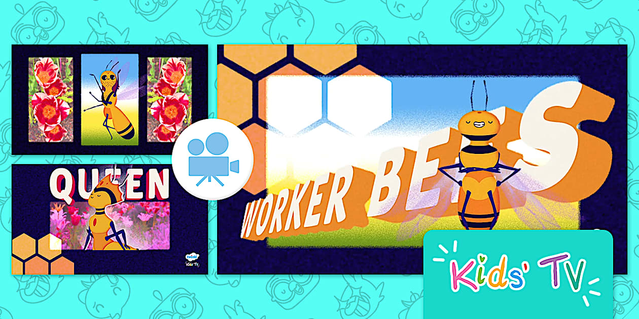 World Bee Day Song for Kids! | Stay in a Hive