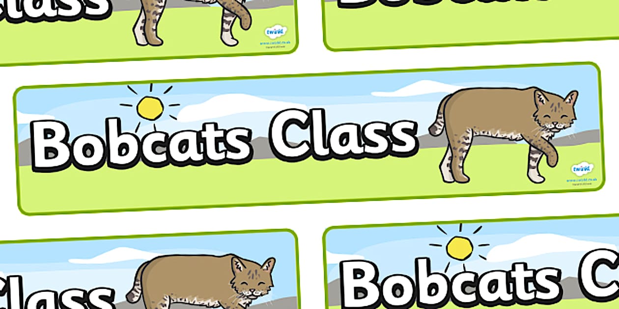👉 Bobcats Class Display Banner (teacher made) - Twinkl