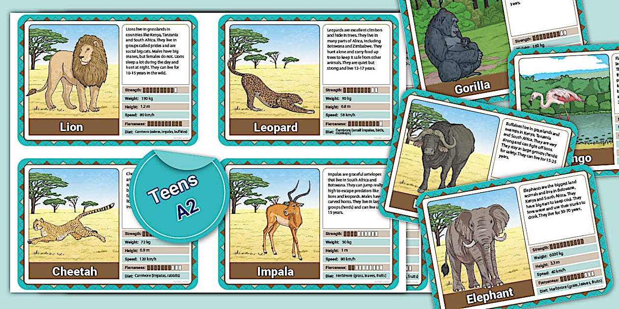 ESL Animal Comparative Challenge Cards (teacher made)